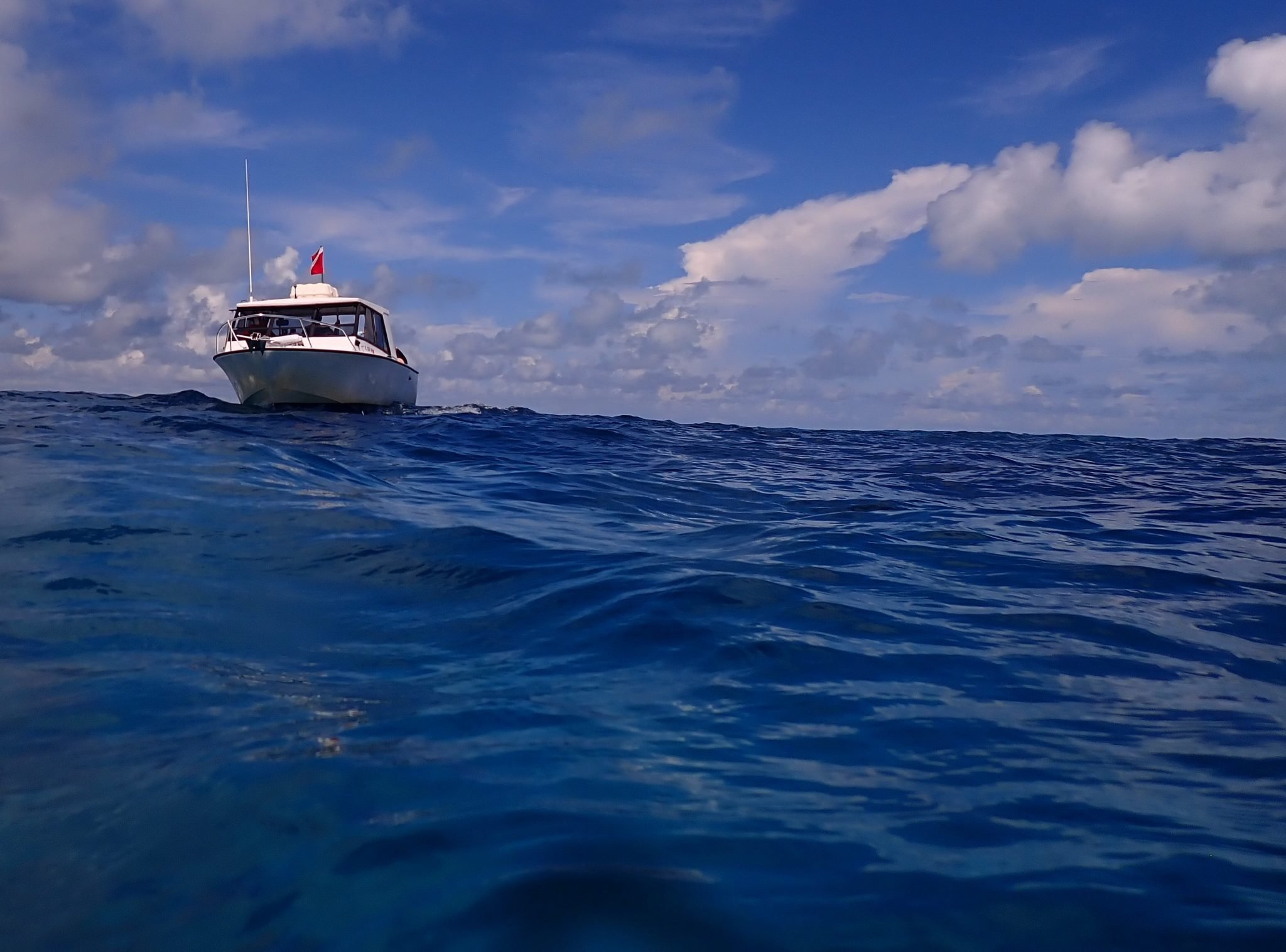 A Guide to Scuba Dive Boats