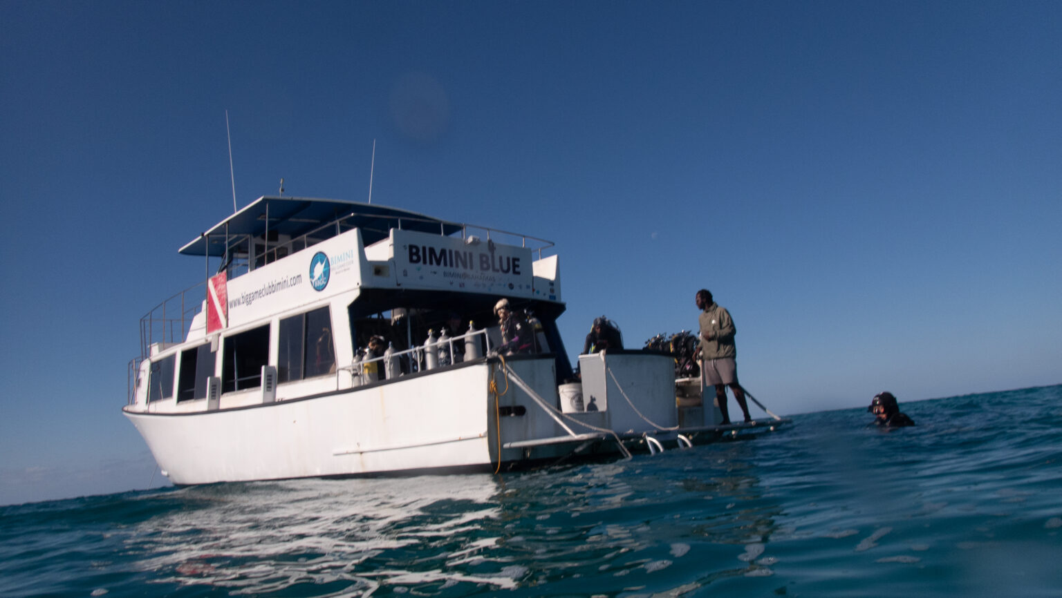 A Guide to Scuba Dive Boats